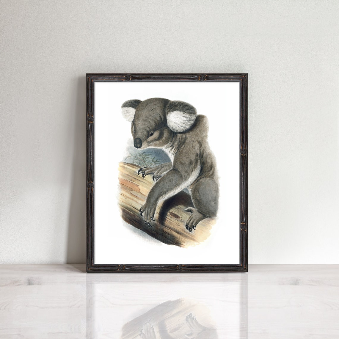 Vintage Australian Animal Prints Koala Possum Kangaroos Australian ...
