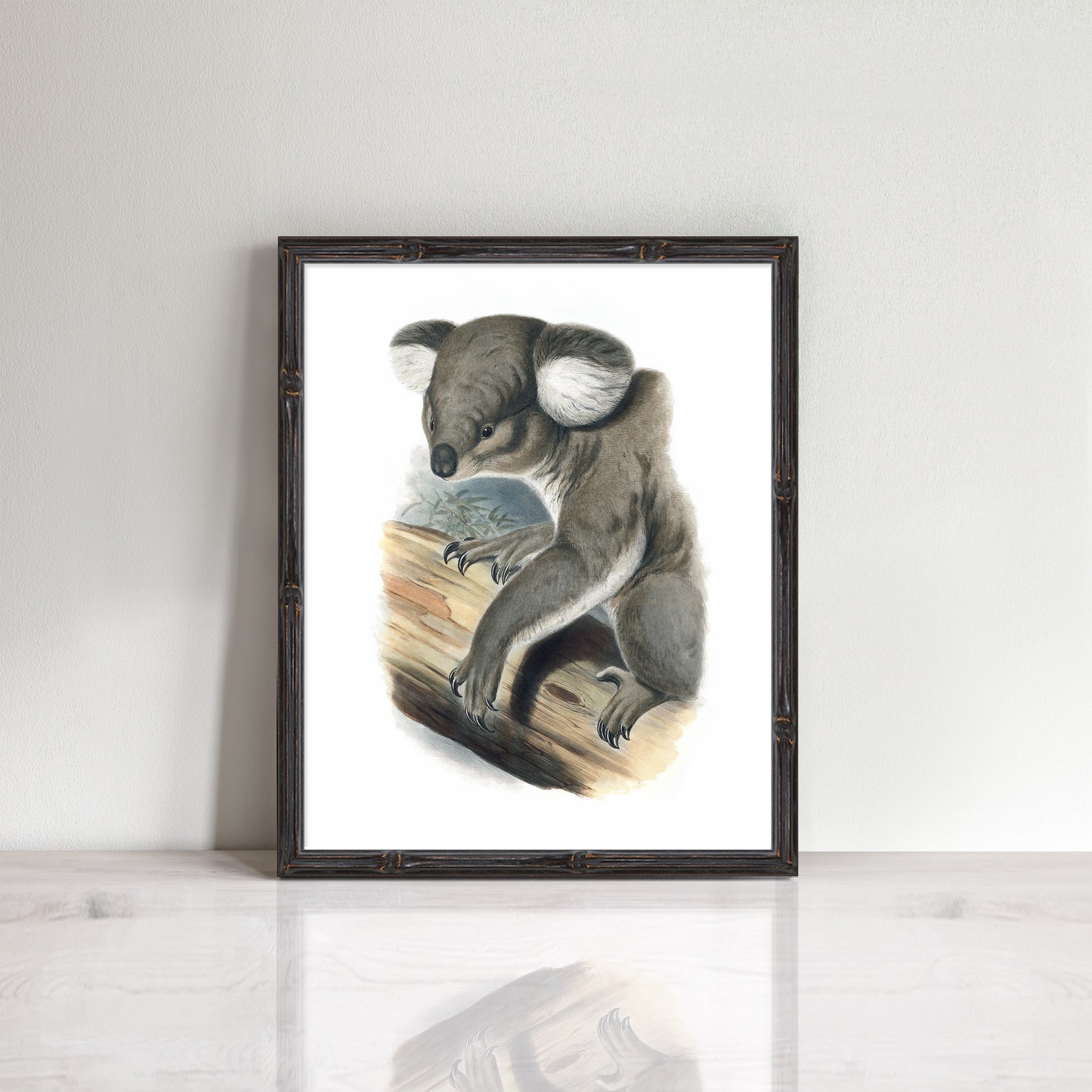 Vintage Australian Animal Prints Koala Possum Kangaroos Australian ...