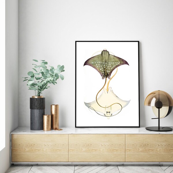 Stingray Wall Art - Etsy