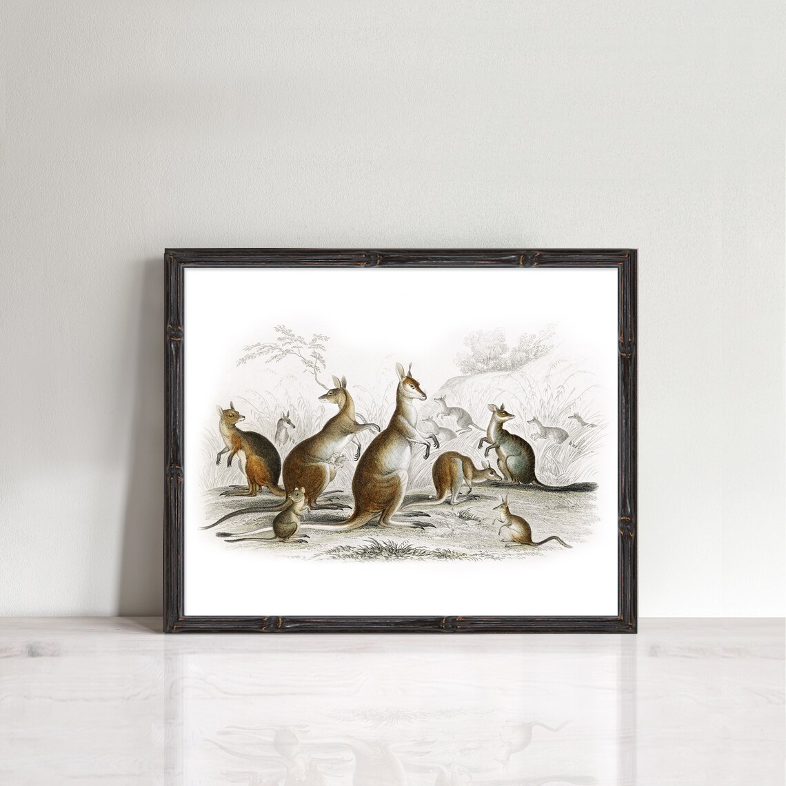 Vintage Australian Animal Prints Koala Possum Kangaroos Australian ...