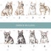 French Bulldog, Personalised Birthday Card, Card for Her Him, Birthday ...