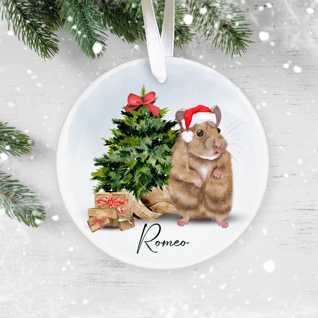 Hamster Christmas Ornament, Hamster Bauble, Personalised Christmas ...