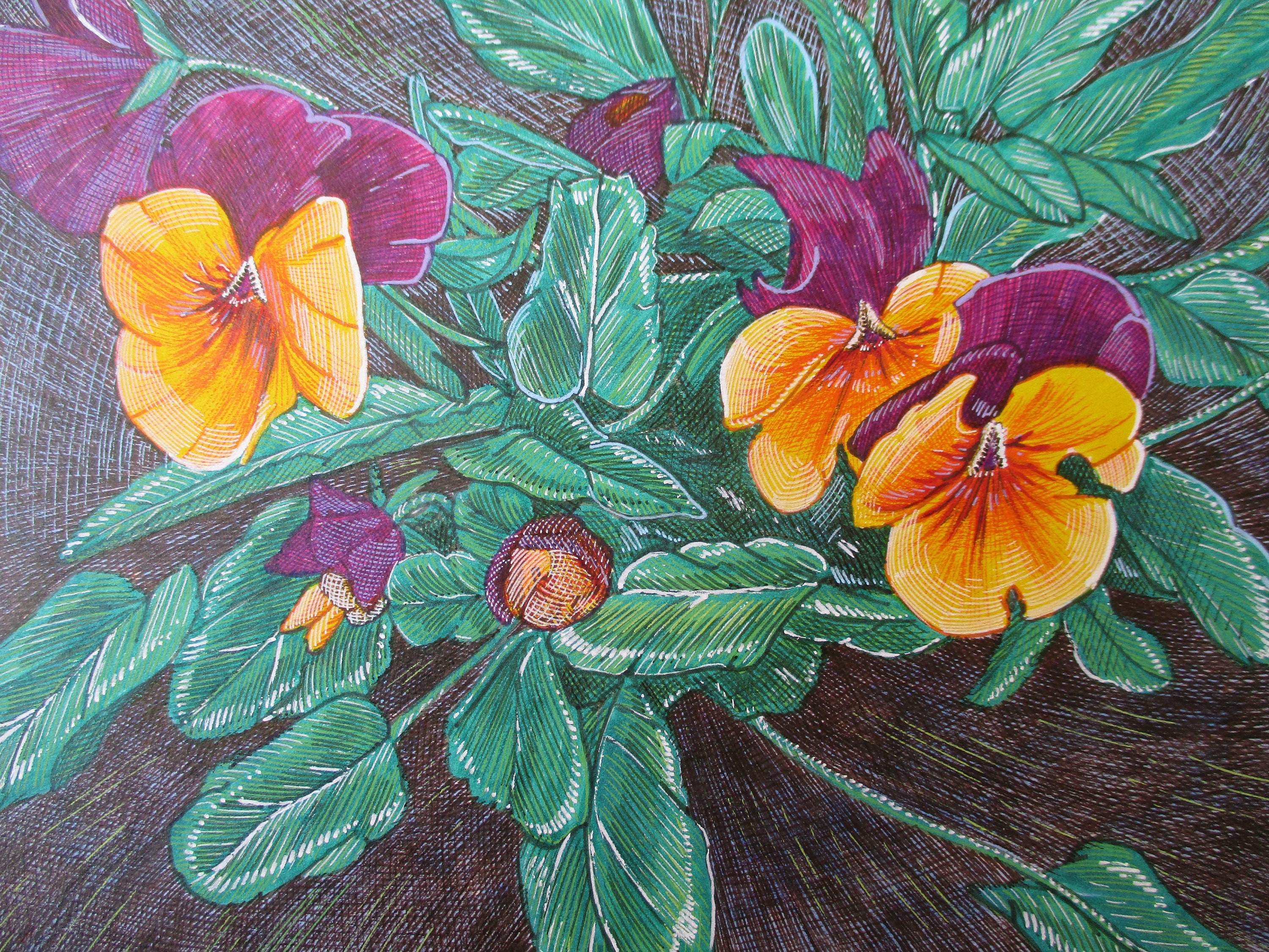 Pansy Painting Original Pen and Ink Drawings Pansies Art - Etsy