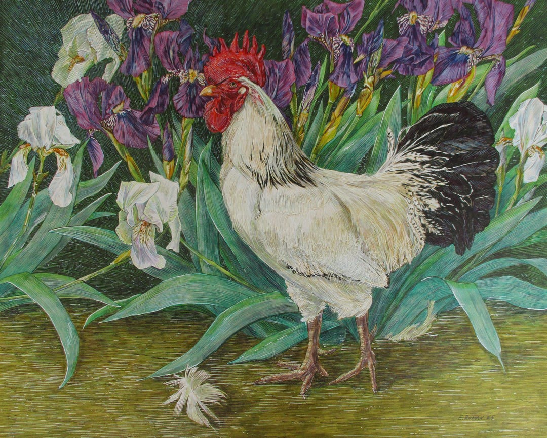 Rooster Painting Original Pen and Ink Drawing Rooster Artwork - Etsy