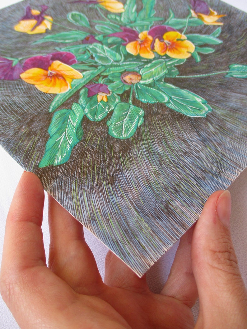 Pansy Painting Original Pen and Ink Drawings Pansies Art - Etsy
