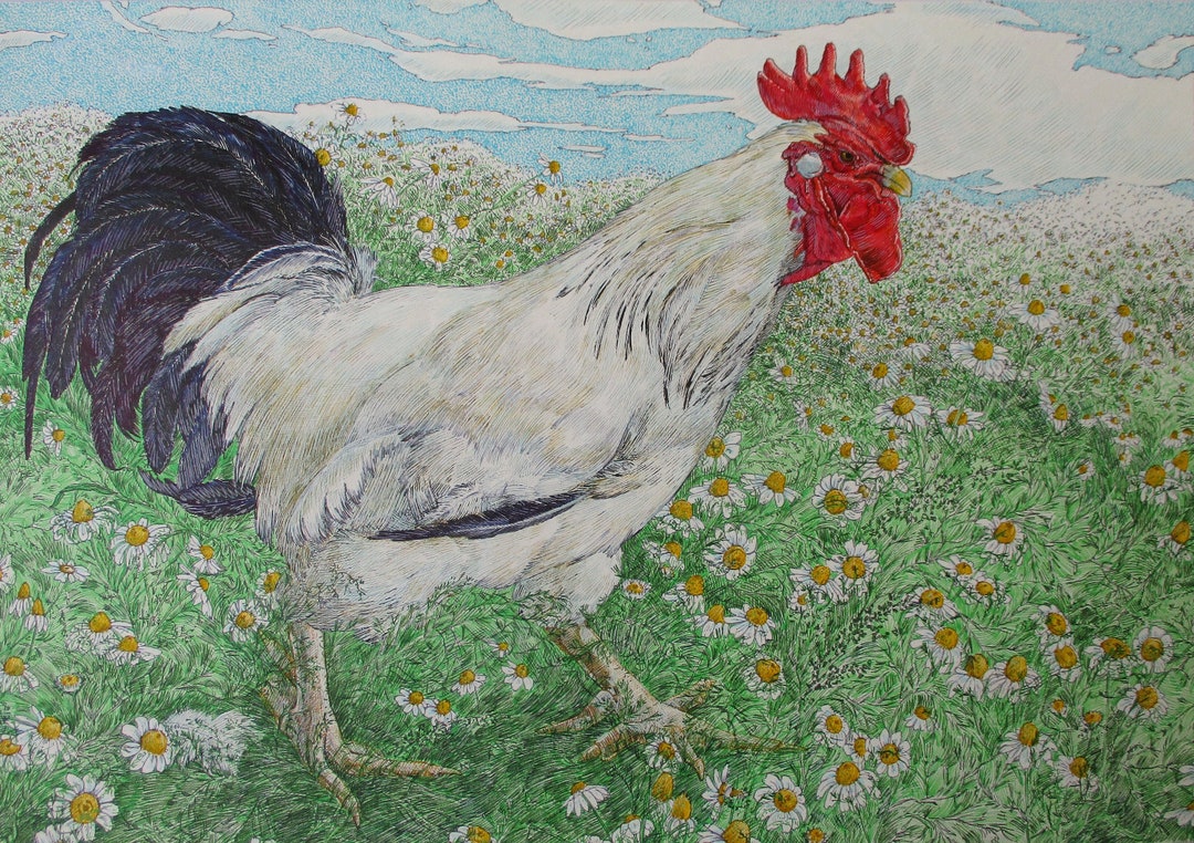 Rooster Painting Original Pen and Ink Drawing Rooster Artwork - Etsy