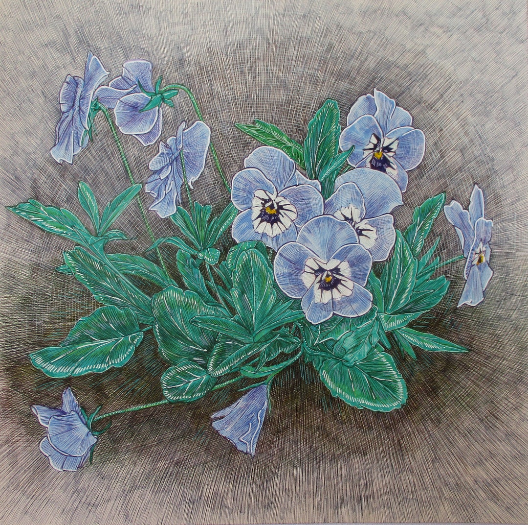 Pansy Painting Original Pen and Ink Drawings Pansies Art - Etsy
