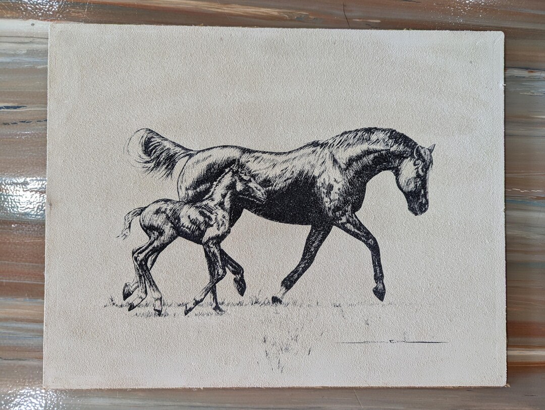 Horse Drawing by John Cox - Etsy