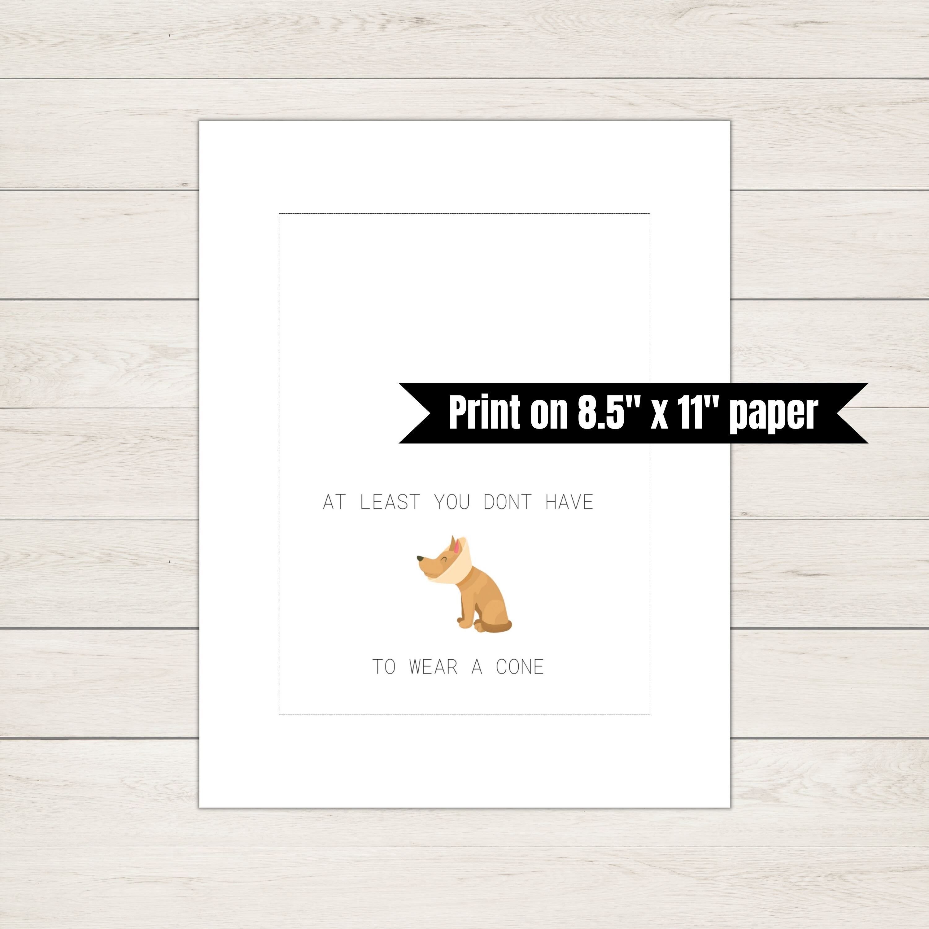 Get Well Card, Funny Dog Card, at Least You Don’t Have to Wear a Cone ...