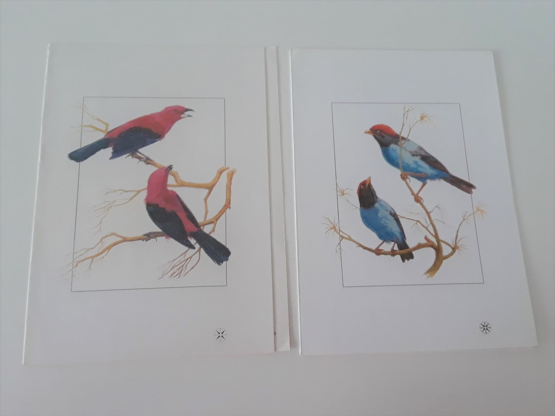 VARIG Airline Menus Varig Souvenirs Varig Dinner Menu Varig - Etsy