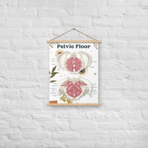 Pelvic Floor Hanging Poster - Etsy