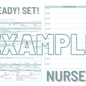 L&D Nurse Report Sheet Bundle, 4 Colors, Nurse Brain Sheet, RN Nursing ...