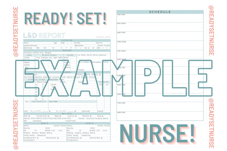 L&D Nurse Report Sheet Bundle, 4 Colors, Nurse Brain Sheet, RN Nursing ...