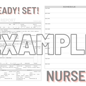 L&D Nurse Report Sheet Bundle, 4 Colors, Nurse Brain Sheet, RN Nursing ...