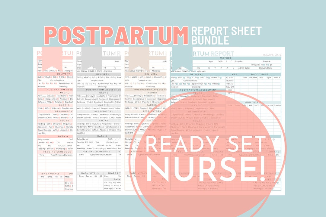 Mother Baby Nurse Report Sheet Bundle, 4 Colors, Nurse Brain Sheet, RN ...