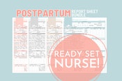 Postpartum Report Sheet extra Baby Report Sheet Included - Etsy Canada