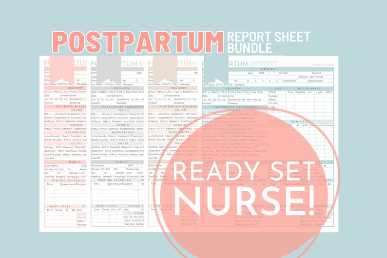 Mother Baby Nurse Report Sheet Bundle, 4 Colors, Nurse Brain Sheet, RN ...