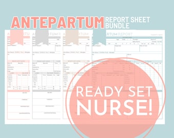 Emergency Department Nurse Report Sheet Bundle, 4 Colors, Nurse Brain ...
