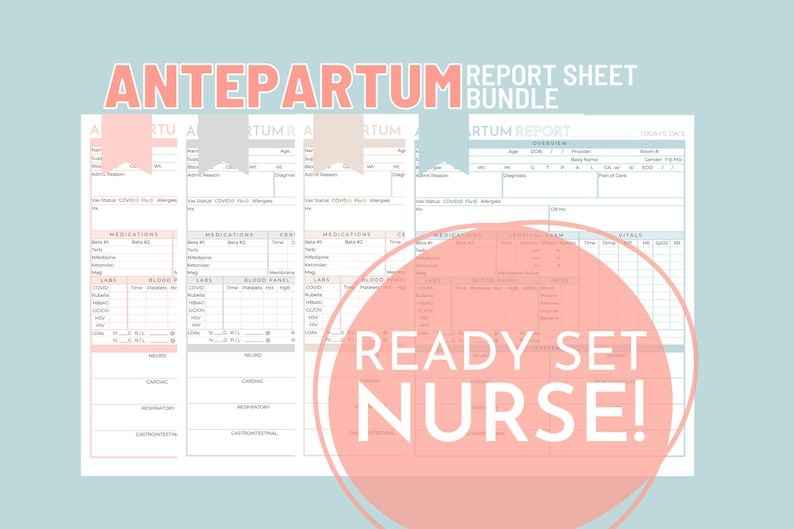Antepartum Nurse Report Sheet Bundle, 4 Colors, Nurse Brain Sheet, RN ...