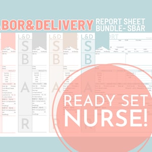 L&D Nurse SBAR Sheet Bundle, 4 Colors, Nurse Brain Sheet, Report Sheet ...