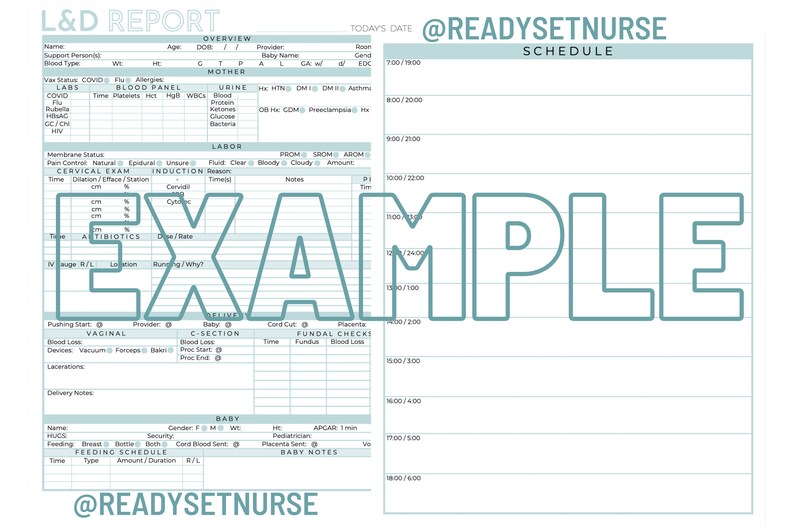 L&D Nurse Report Sheet Bundle 4 Colors Nurse Brain Sheet RN - Etsy