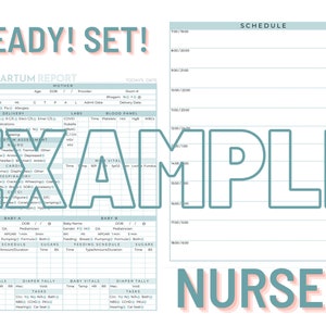 Mother Baby Nurse Report Sheet Bundle, 4 Colors, Nurse Brain Sheet, RN ...