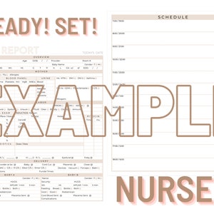 L&D Nurse Report Sheet Bundle, 4 Colors, Nurse Brain Sheet, RN Nursing ...