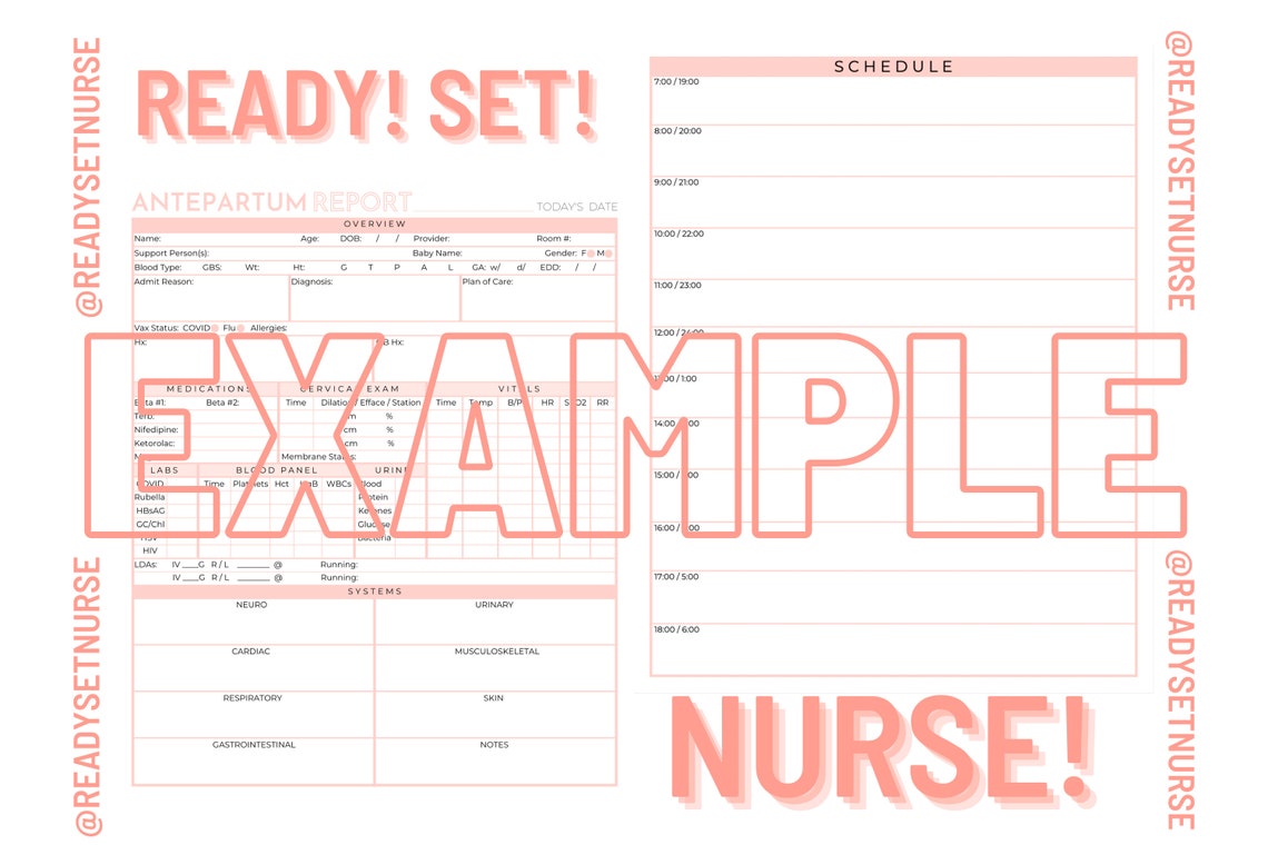 Antepartum Nurse Report Sheet Bundle, 4 Colors, Nurse Brain Sheet, RN ...