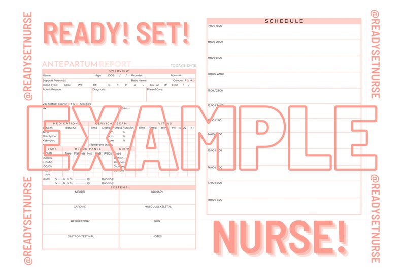 Antepartum Nurse Report Sheet Bundle, 4 Colors, Nurse Brain Sheet, RN ...