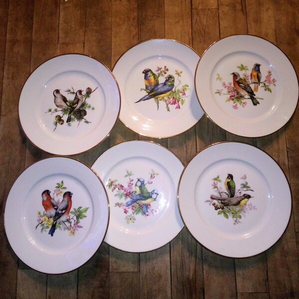 Bird Plates - Etsy