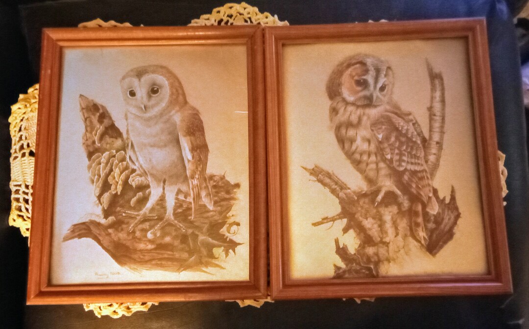 Vintage Audrey North Foil Owl Pictures - Etsy