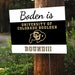 Custom College Bound Yard Sign, Personalized College Sign, College ...