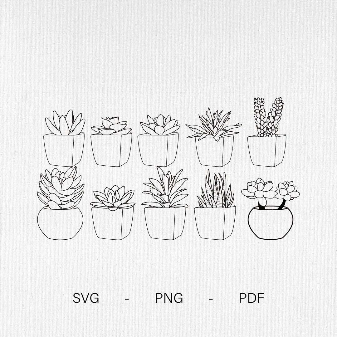 Succulent Svg, Plant Svg, Png, Pdf - Etsy