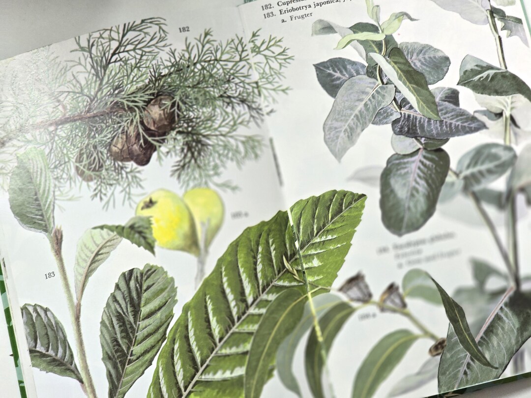 80s' Danish Vintage Book on Garden Bushes and Trees, Floral ...