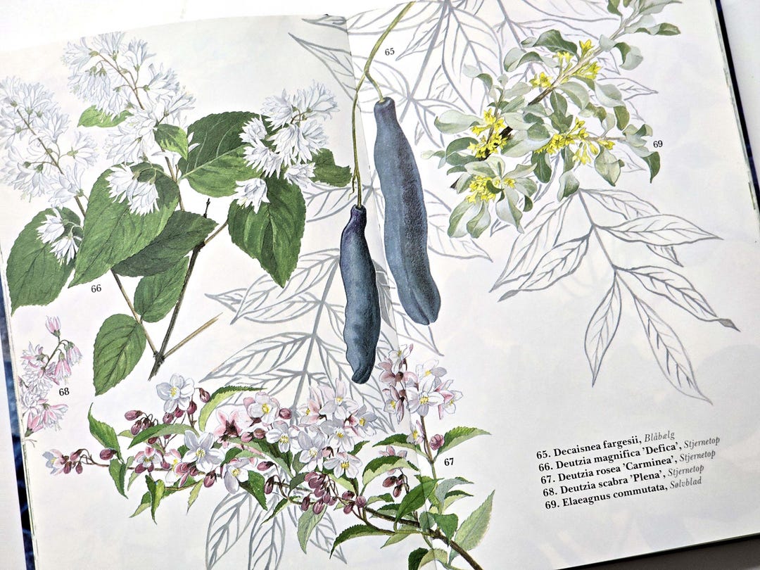 90s' Danish Vintage Book on Garden Bushes and Trees, Floral ...