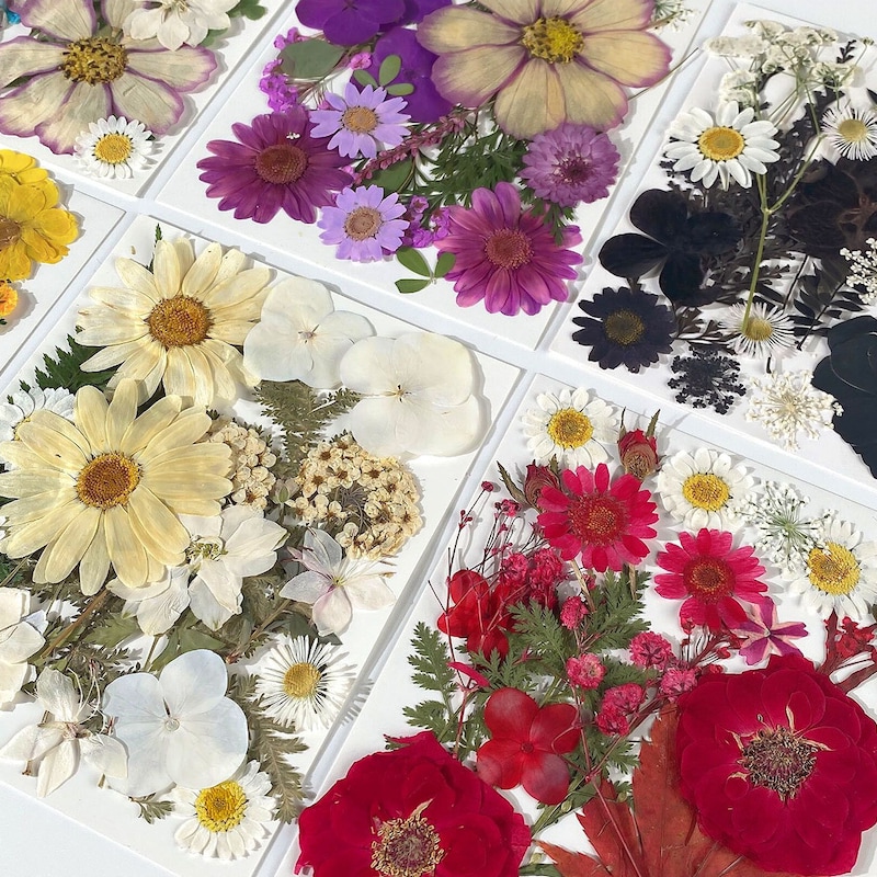 Dried Flowers Resin - Etsy