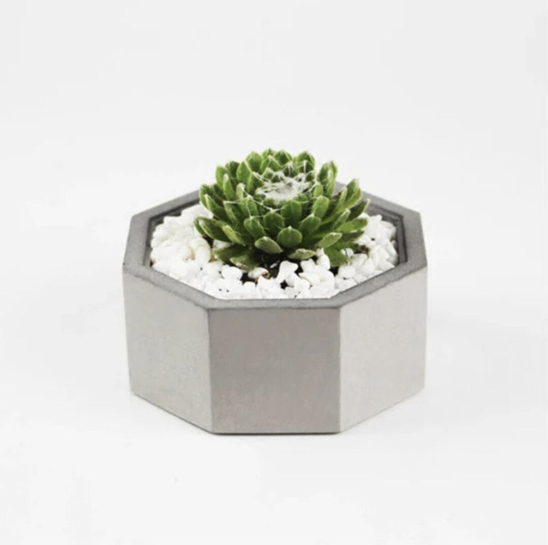 BIG Size Octagon Flower Pot Silicone Molds Concrete Planter Mould for ...