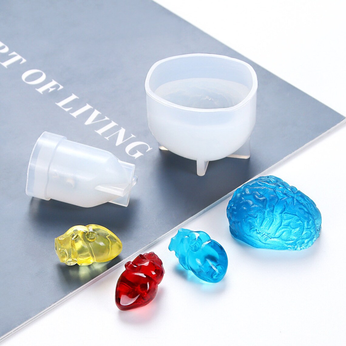 3D Human Organs Silicone Mold-heart and Brain Resin Mold-heart - Etsy