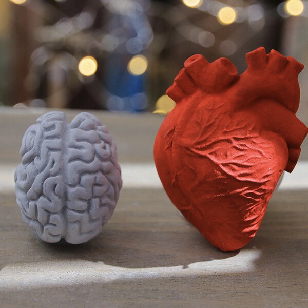 Brain Candy Mold - Etsy