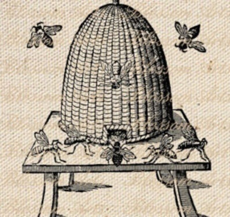 FRENCH Antique BEE SKEP Original Woving Straw Bee Hive 1800s | Etsy