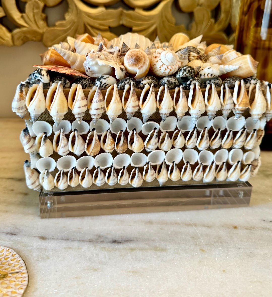 Shell Box Treasure Vintage Coastal Decor Collectible Shell Box Jewelry ...