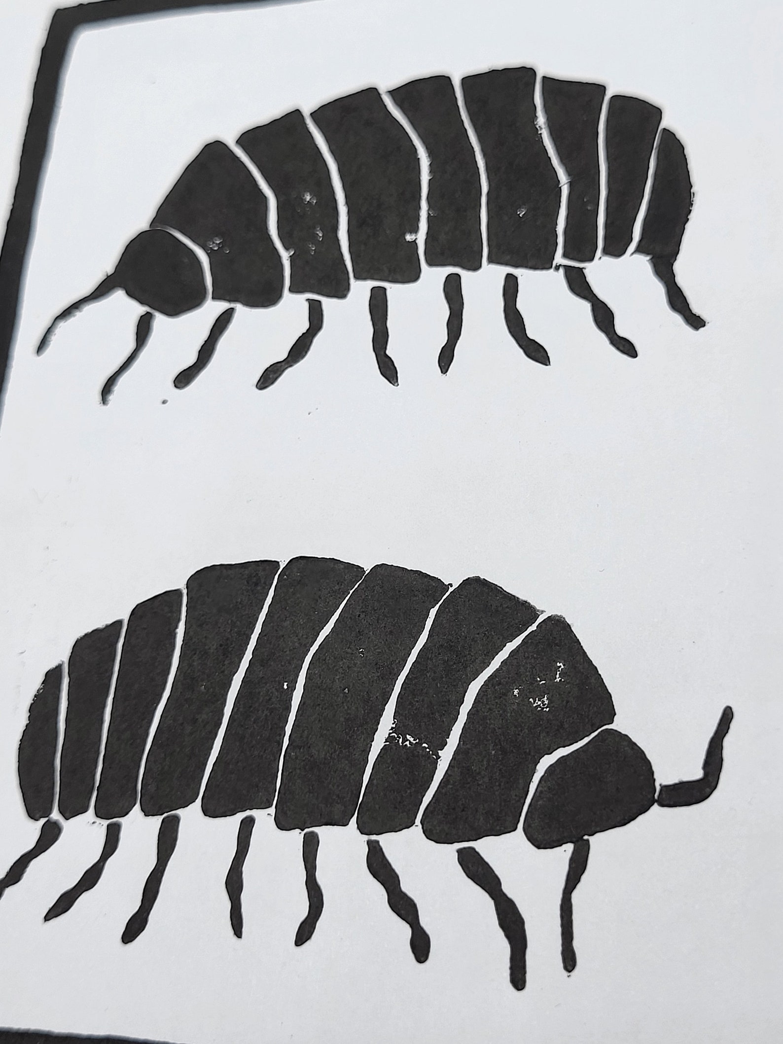 Isopod Duo Lino Print | Creepy Crawlies Collection | 4x5 Lino Print - Etsy