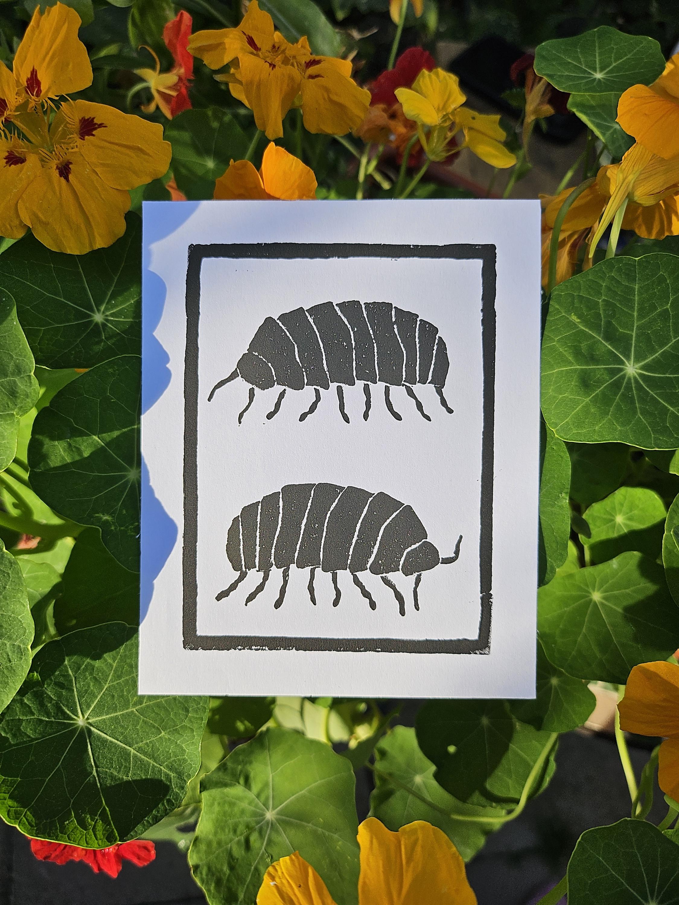 Isopod Duo Lino Print | Creepy Crawlies Collection | 4x5 Lino Print - Etsy
