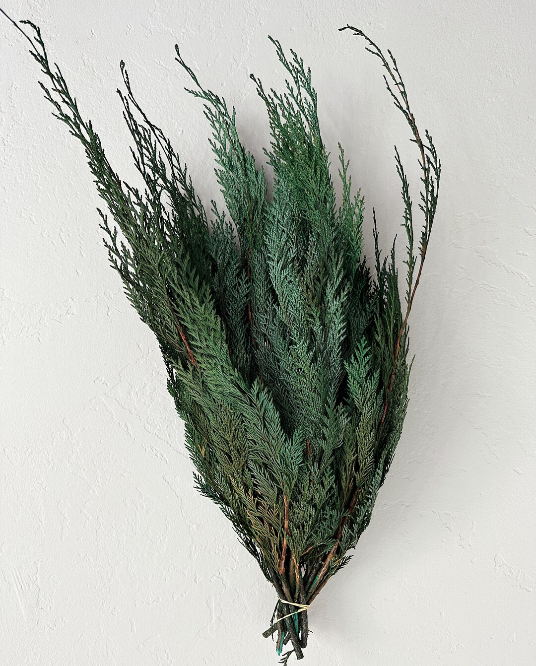 Preserved Cedar, Christmas Greenery - Etsy