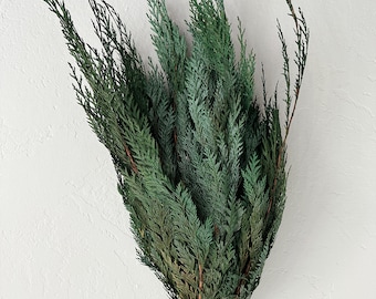 Winter Greenery Preserved Cedar Foliage / Cedar Greenery / Evergreen ...