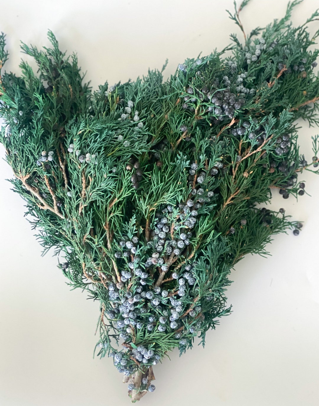 Preserved Juniper Christmas Greenery - Etsy