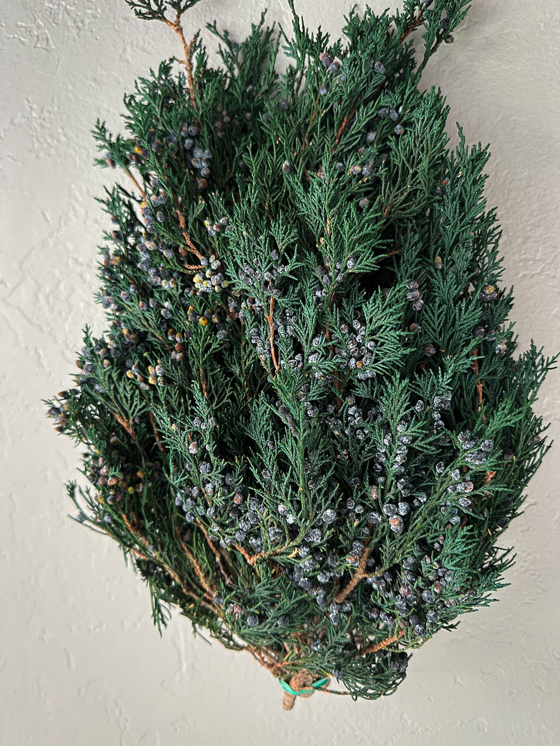 Preserved Juniper, Christmas Greenery - Etsy