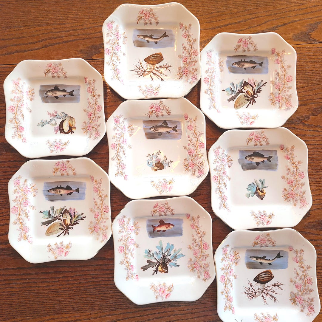 Antique Austrian Porcelain Square Fish and Shell Plates Circa 1880 - Etsy