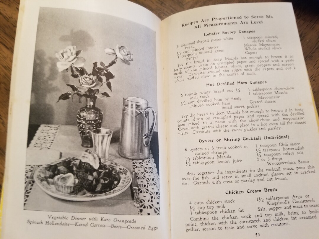 Vintage 1926 Cook Book the Modern Method of Preparing Delightful Foods ...