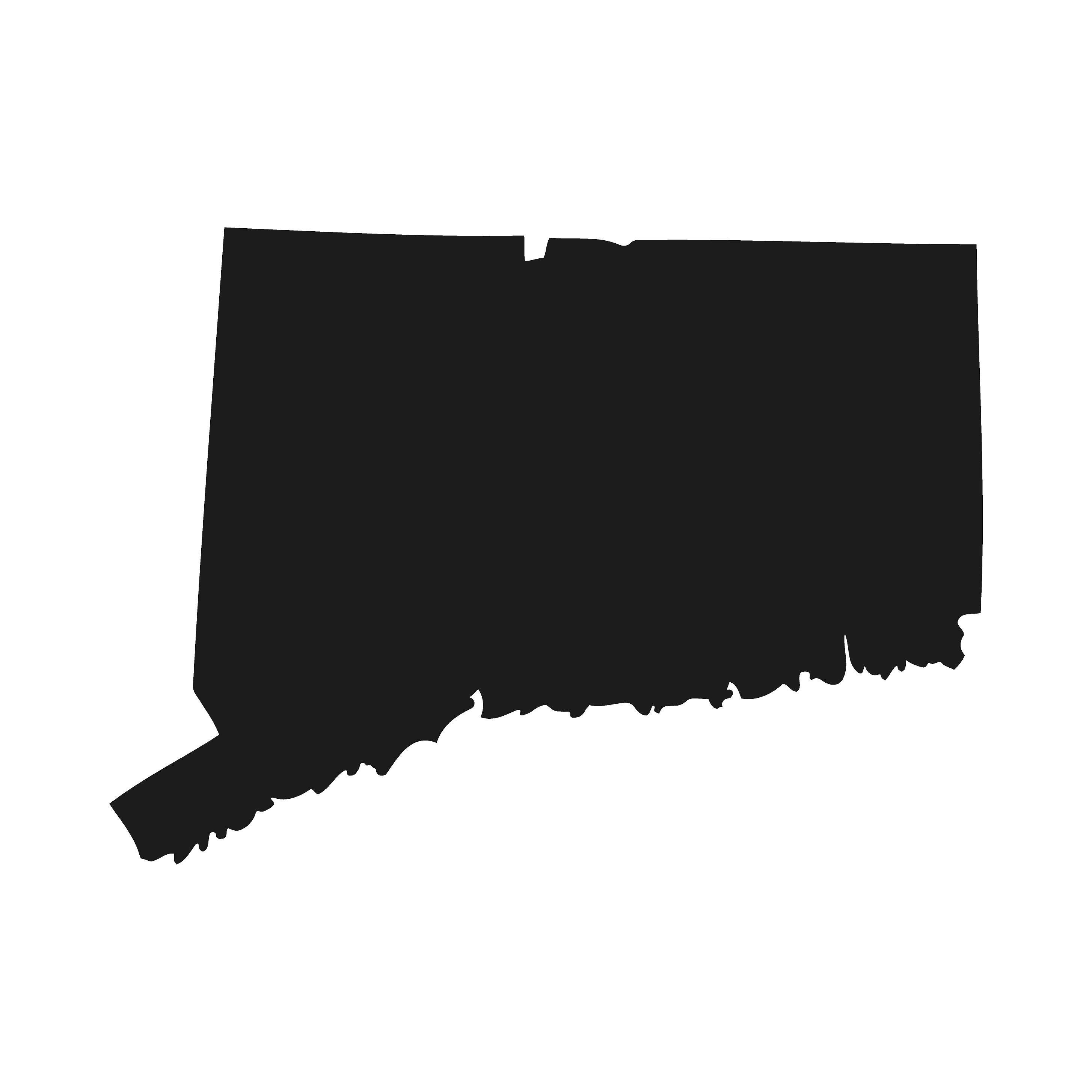 Connecticut State Outline Vinyl Decal CT Sticker - Etsy